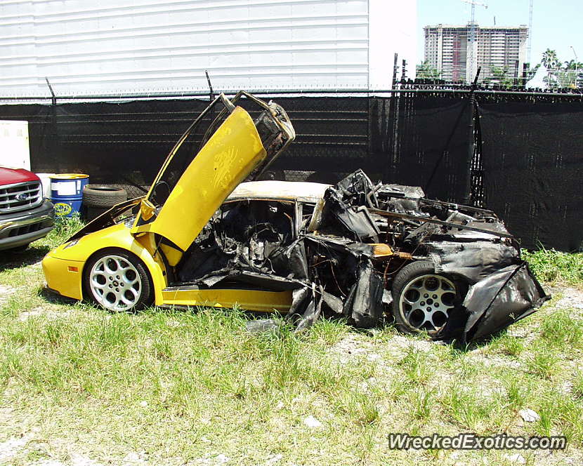 Nick Hogan Supra